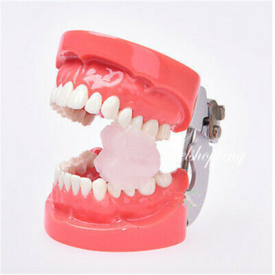 2 Pcs/Pack Dental Bite block Autoclavable Oral Opener Mouth Support ...