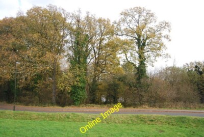 Photo 6x4 Trees by Isfield Mill Pond Bewbush c2011 | eBay UK