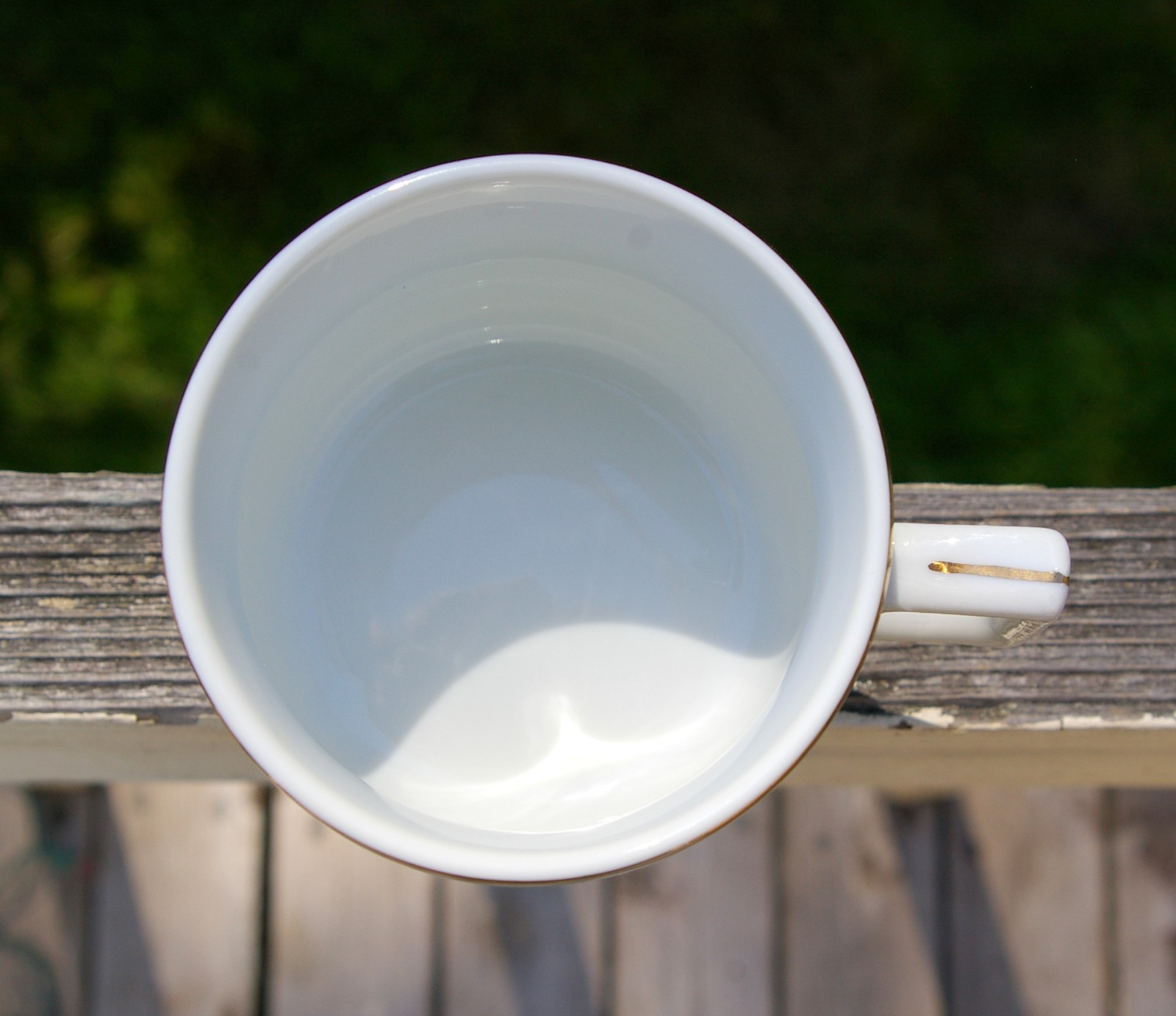 Disneyland Walt Disney World Black White Coffee Gold Rim Mug Cup Japan ...