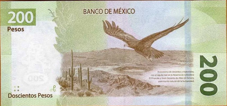 200 Mexican Pesos banknote 2022. 200 Pesos Mexico MXN Circulated Note ...