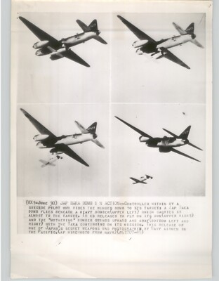 JAPANESE AIR Fleet Deploy KAMIKAZE Planes World War II 1945 Press Photo ...