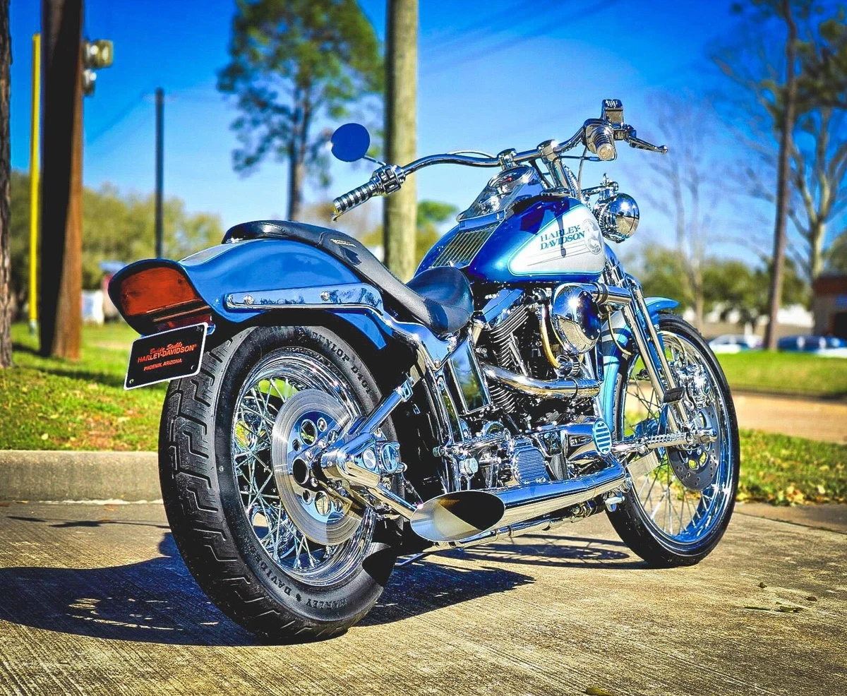 A Harley Turbo Softail Built by a Legendary Rider