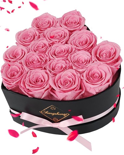 Changshunqi 16 Flowers Preserved Roses Gifts for Women, Pink Forever ...