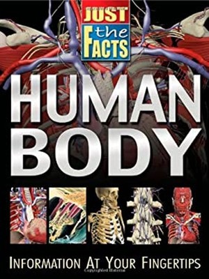 Human Body Paperback Carson-Dellosa Publishing Staff 9780769642550| eBay