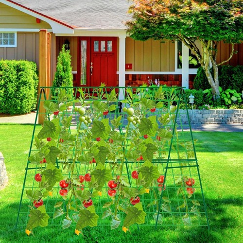 A Frame Garden Trellis Climbing Plant Support Lawn Tomatoes Cucumber ...