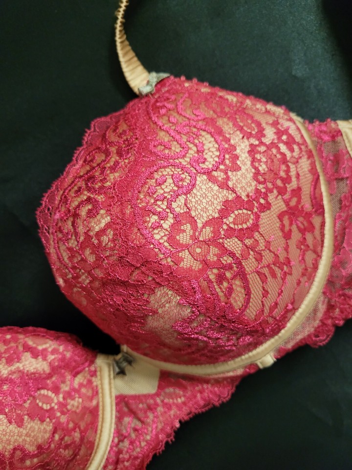 NWT Heidi Klum Olympia Lashes Persian Red Cafe Crème Bra Size 10DD ...