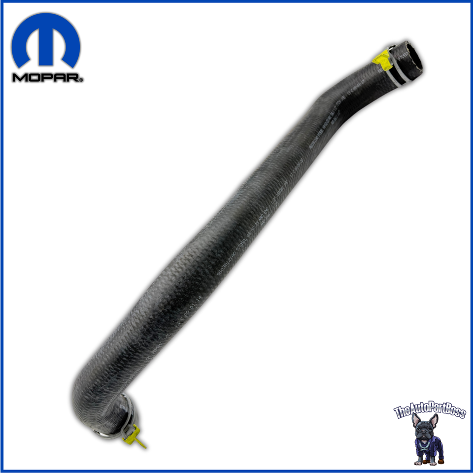 Radiator Outlet Hose OEM Mopar 55038121AD | eBay