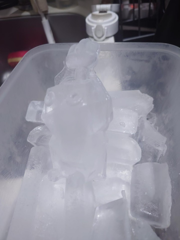 Pikmin 4 Ice Maker & Cup Set | Official Nintendo Book | Make Ice Pikmin ...