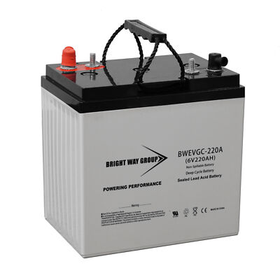 Bright Way Group EVGC6 - 6V 220AH Deep Cycle Golf Cart Battery GC2 ...