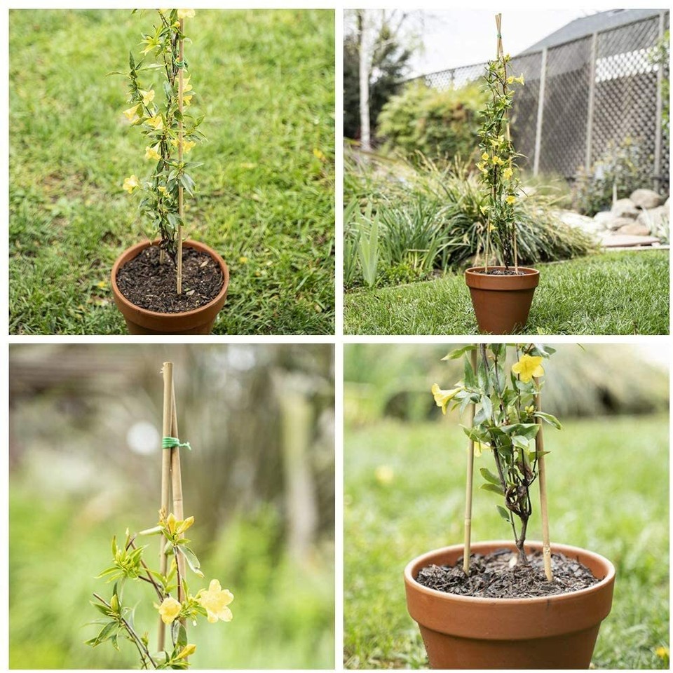 2ft- 6ft Plant Support Canes Bamboo Garden Thick Sticks Outdoor Strong ...