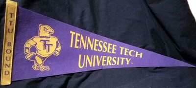 Vintage Felt Tennessee Tech Pennant TTU Bound With Golden Eagle | eBay