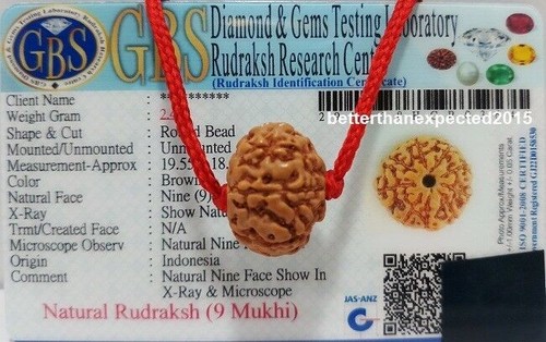 9 Mukhi Rudraksha/Nove Face Rudraksh - Java Perlines - 18-20 MM ...