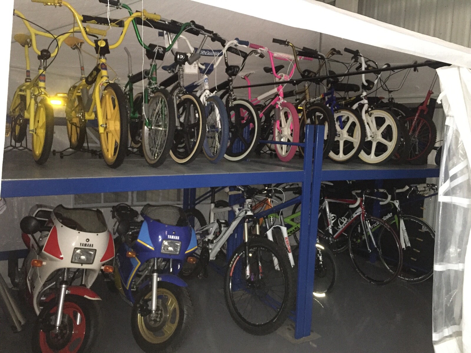 GT Pro Performer MINI Yellow Eddie Fiola | eBay UK