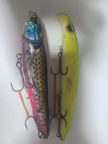 Evergreen Amazon Pencil 160 Stream Demon Set | eBay