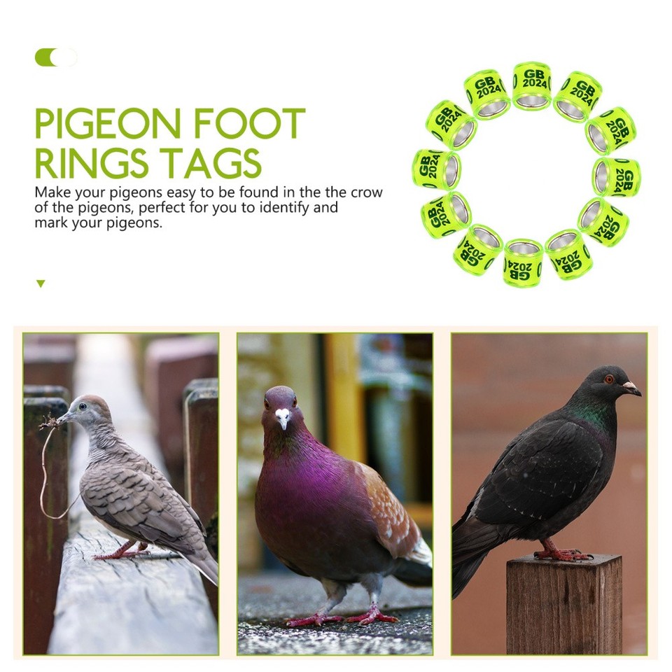 100 Pcs Racing Pigeon Anklet Chicken Identification Leg Bands Rings ...