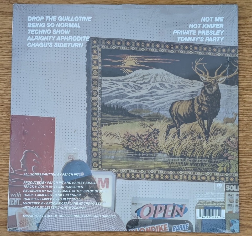 PEACH PIT – BEING SO NORMAL - VINYL LP - AA 194398569819| eBay