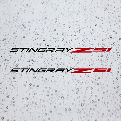 Pair C8 Stingray Z51 Decal Vinyl Sticker for Corvette Sport Cars (2020 ...
