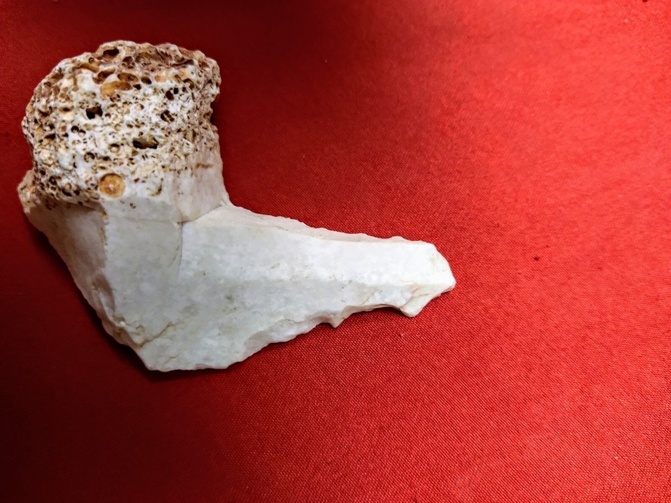 Fossil Rock Indian Artifact Knife Blade Scraper Tool Arrowheads Native ...