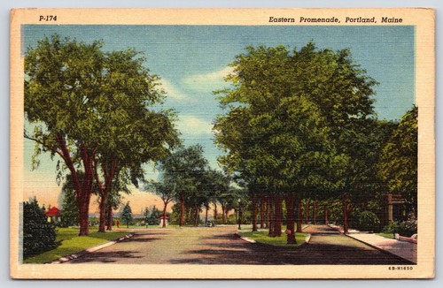Maine Portland Eastern Promenade Vintage Postcard | eBay
