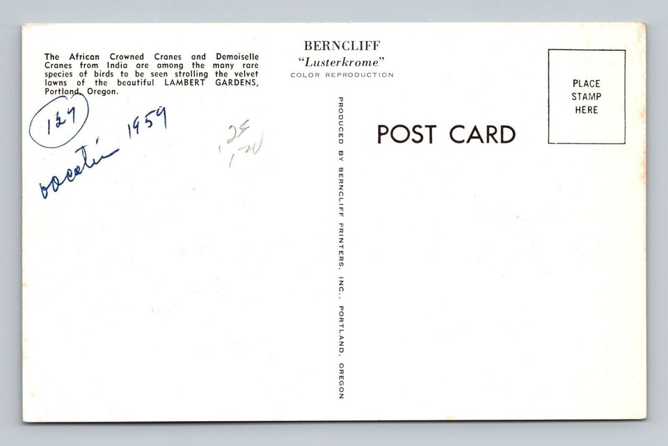 Oregon OR Portland Lambert Gardens African Crowned Cranes Vintage ...