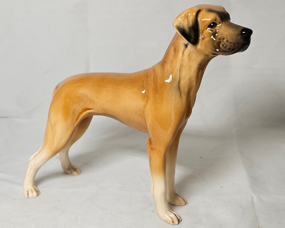 Gran Danes Porcelana