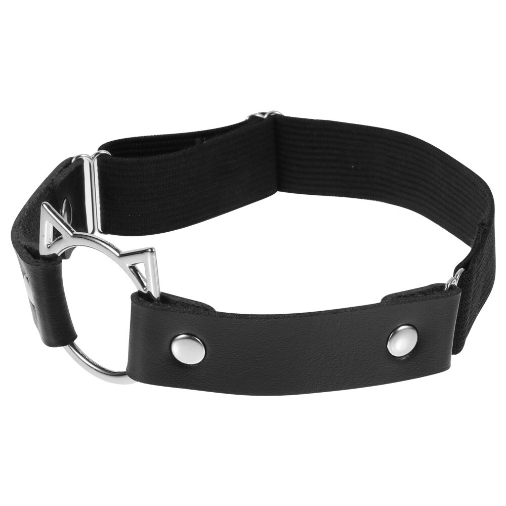 Human Collar And Leash