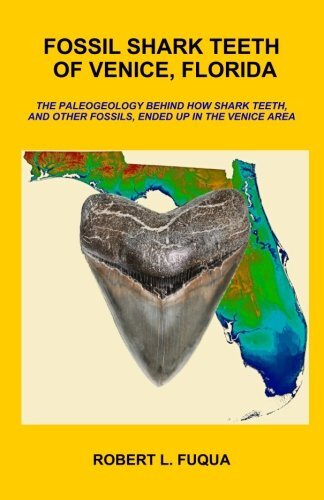 Fossil Shark Teeth of Venice, Florida : The Paleogeology Behind How ...
