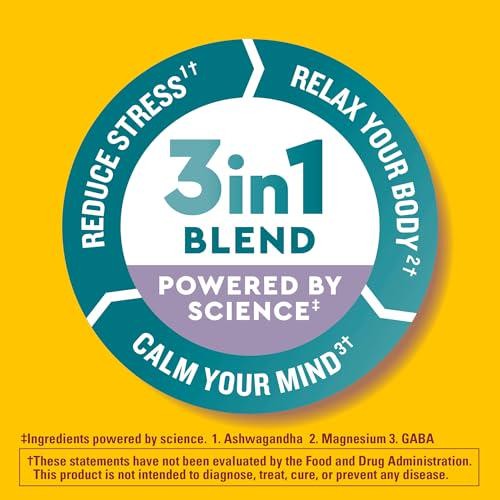 Nature Made Wellblends Calm Mind and Body, Magnesium Citrate ...