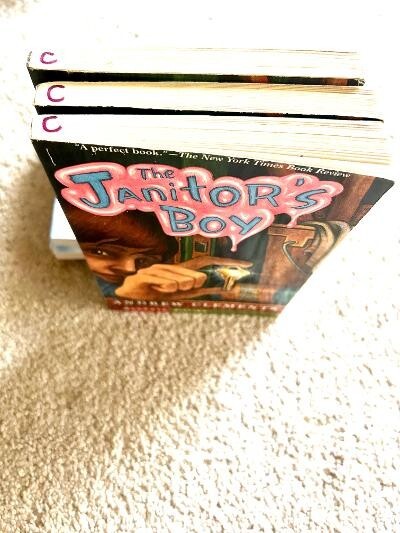 Guided Reading Series paper back books The Janitor's Boy, Miracles on ...