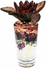 Banafsaj Night by Junaid Perfumes 100ml Women Spray - Free Express ...