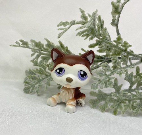 Littlest Pet Shop LPS Authentic #427 Husky Special Advent Brown White ...
