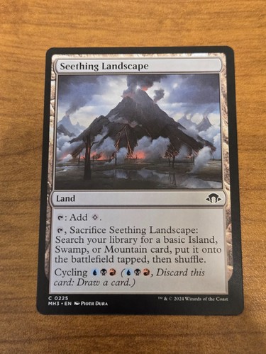 MTG Modern Horizons 3 - Seething Landscape - MH3 225 - Regular | eBay