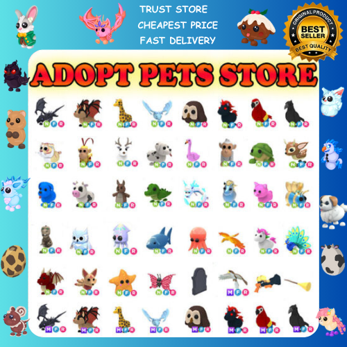 Your Awesome Pets