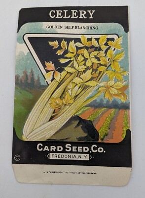 Vintage Celery Seed Packet - Card Seed Co Fredonia NY Golden Self ...