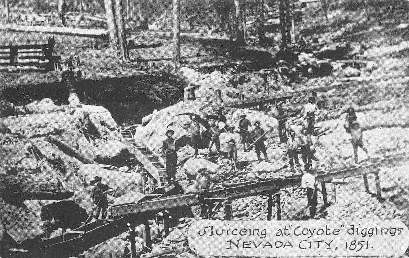 Postcard CA Nevada City 1851 Sluicing At Coyote Diggings Gold Mining ...