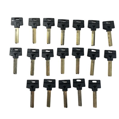 Mul-T-Lock Lot of 19 Pre-Cut Keys Keyway 006C - Black | eBay