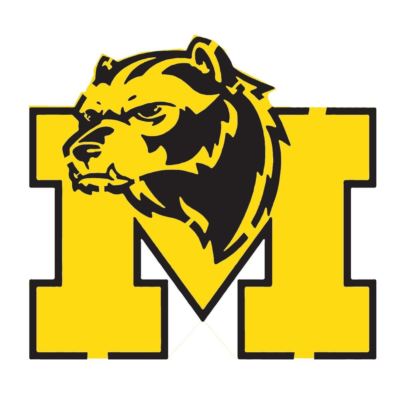 Michigan Wolverines - Reusalble Pattern - 10 Mil Mylar | eBay