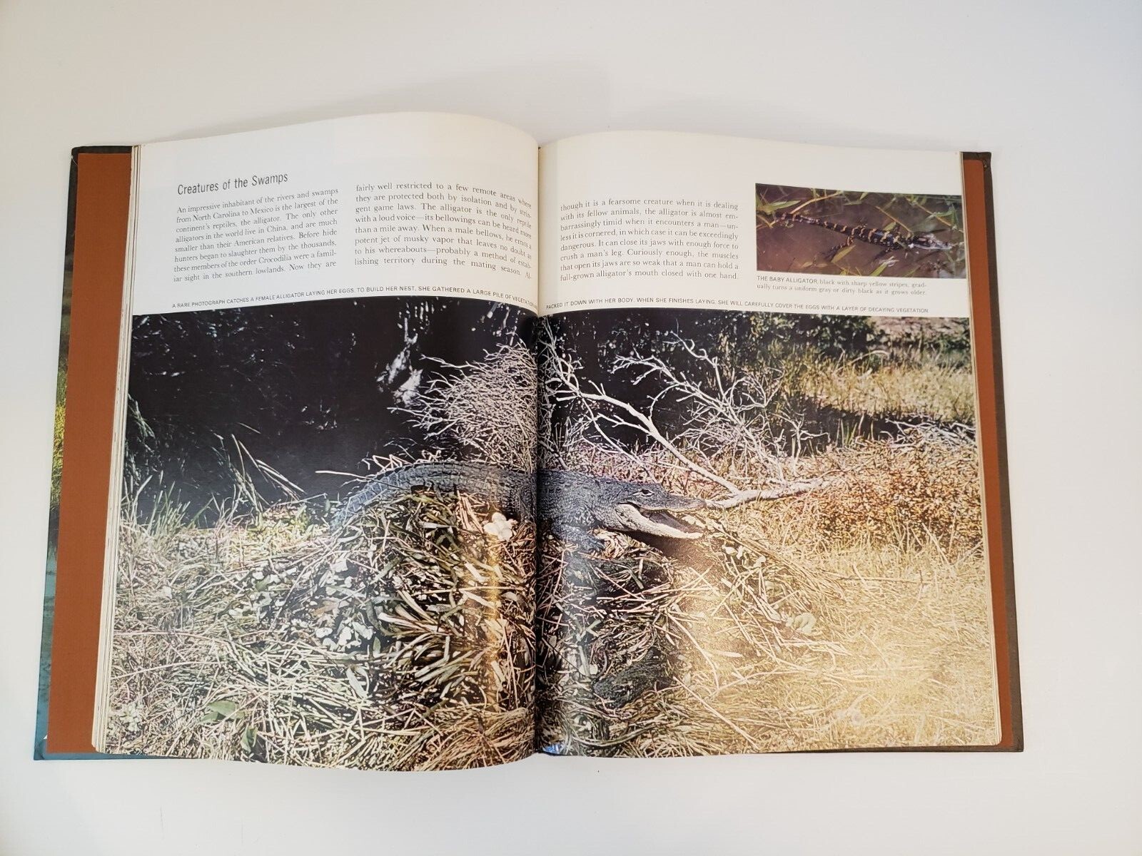 Time Life Science and Nature Library 5 HC 1962 and 1966 Vintage ...