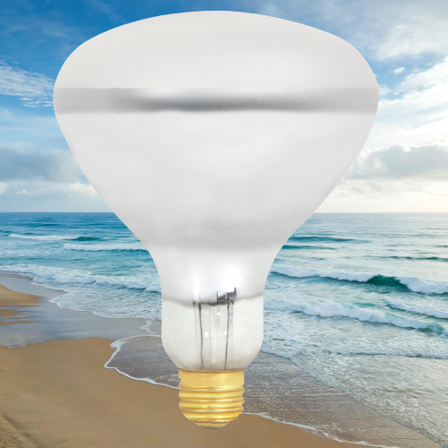 500w R40 Pool Light Bulb | Shelly Lighting