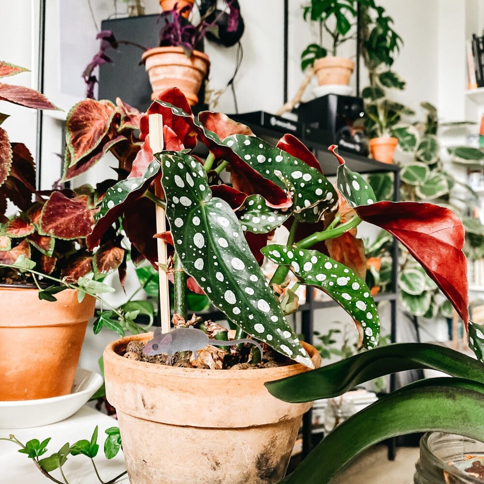 5pcs fake rat toys Rats Garden Rat Props Lifelike Rat Figurines Trick ...