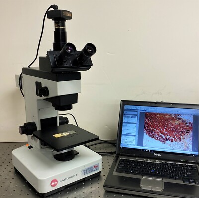 Lietz Leica Labovert LWD Inverted Microscope + 5 MP Camera | eBay