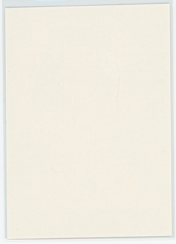 2024 Parkside NWSL Volume 1 Soccer Savannah DeMelo Chibi Sticker | eBay