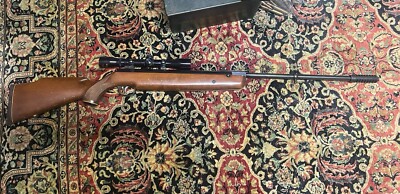 BEEMAN R1 in .177 Caliber West Germany | eBay