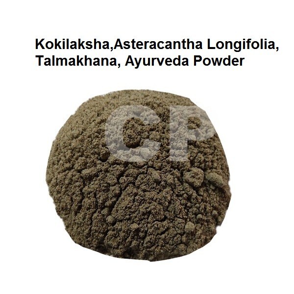 Kokilaksha Powder Asteracantha Longifolia Talmakhana Powder 50gm (1.7 ...