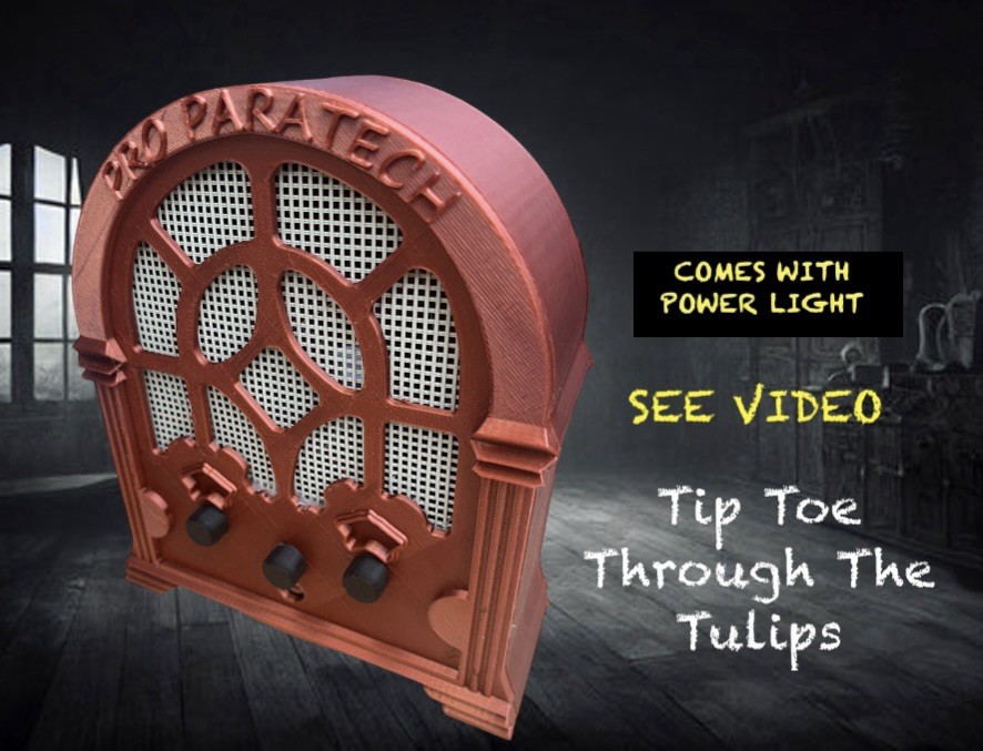 Ghost Hunting Music Motion Sensor Box, Paranormal Spirit Equipment. See ...