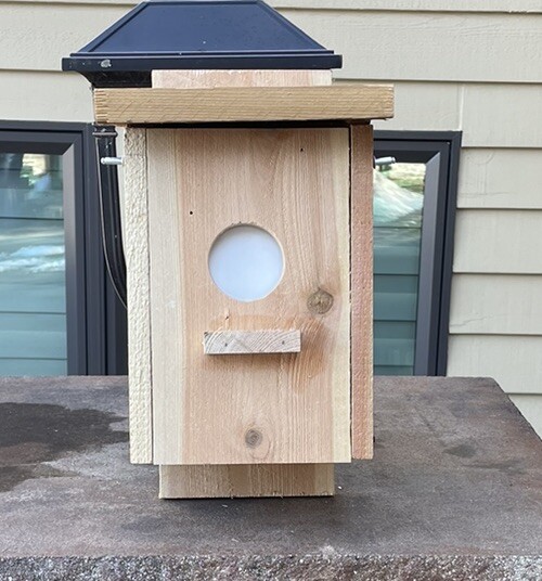 House Sparrow-Starling Nest Box Trap | eBay
