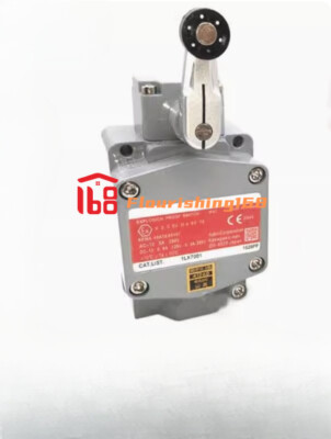 1Pcs New For 1LX-5001-R Explosion-proof Limit Switch 1LX5001R | eBay