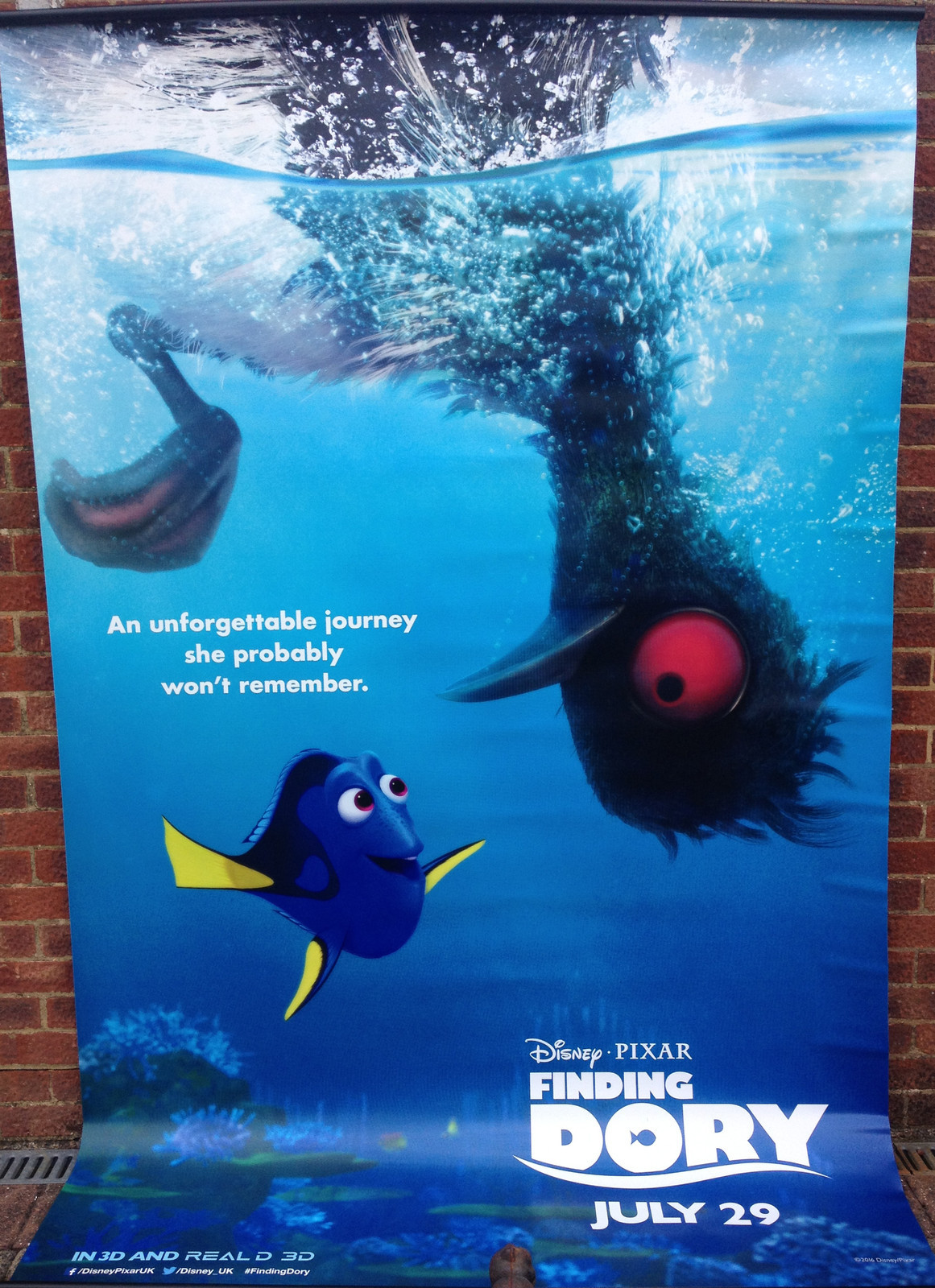 Cinema Banner: FINDING DORY 2016 (Duck) Ellen DeGeneres Michael Sheen ...