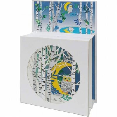 3D Multi-layered Magic Box Greeting Card by Forever Cards - Owl in Tree ...
