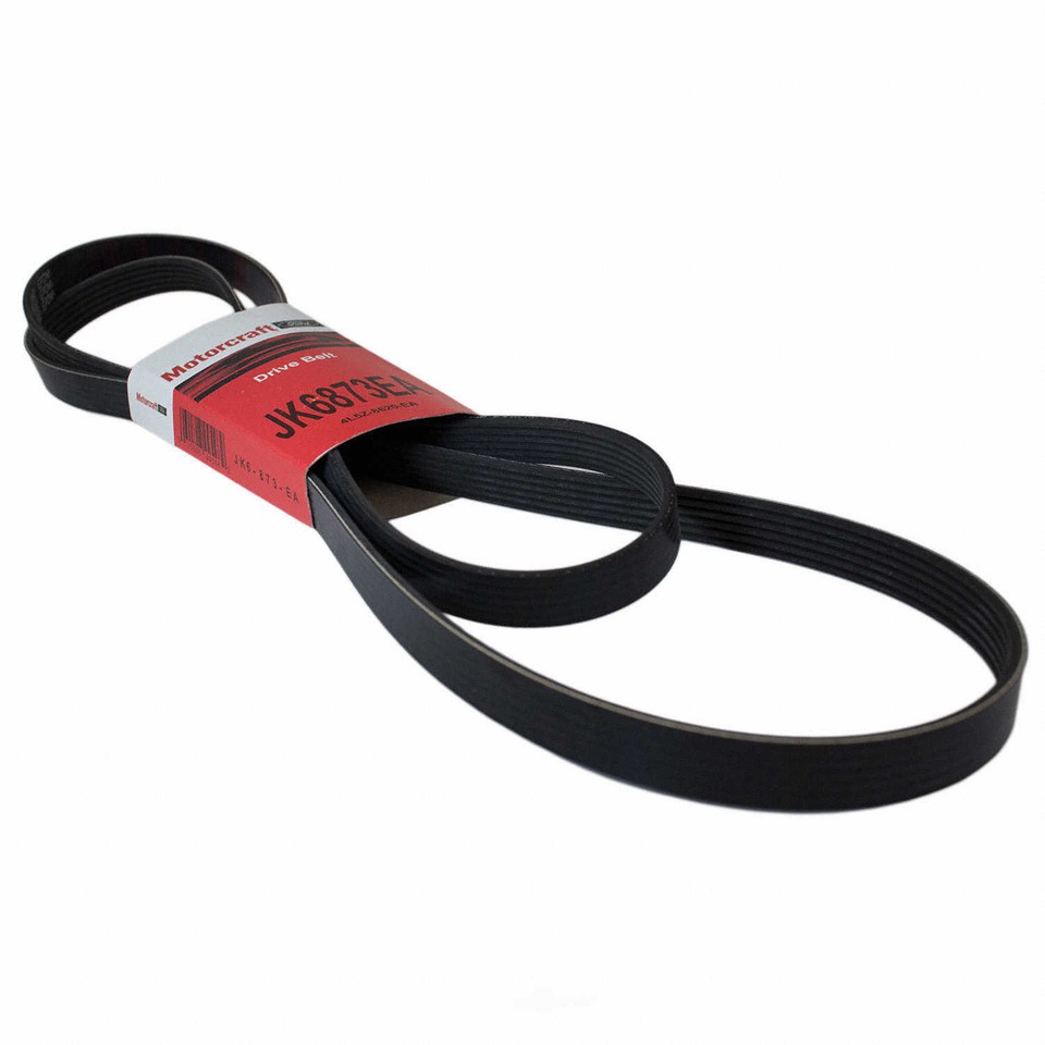 Serpentine Belt Motorcraft JK6-873-EA | eBay